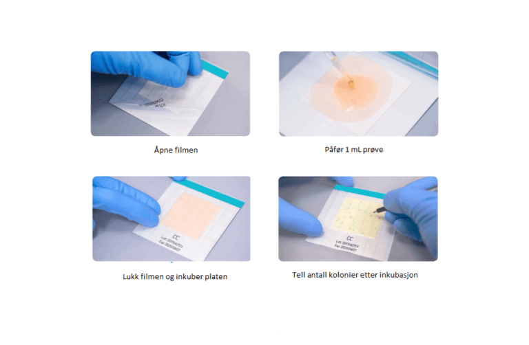 MC Media Pad for måling av totalantall bakterier